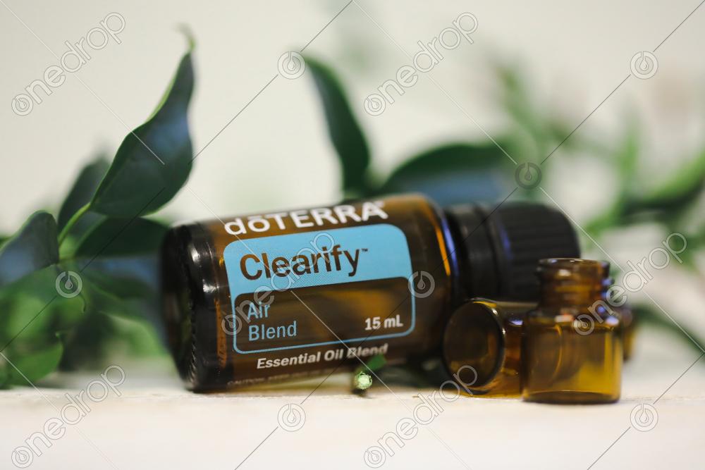 Clearify with sample drams and fresh leaves by Casey Kent