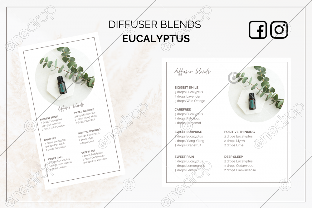 Eucalyptus diffuser blends by Priscilla Siswoko