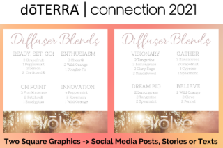 Geranium Essential Oil Diffuser Blends by Louise Mulholland