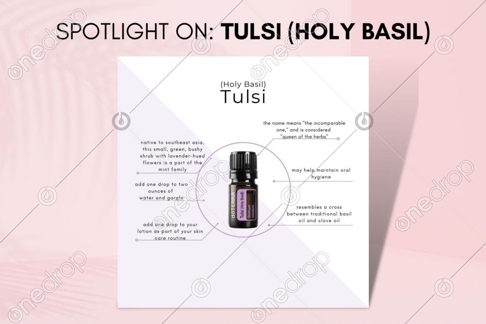 All About TULSI by Pixel Perfect