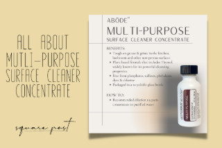 Diffuser Blends: Madagascar Vanilla by Amie Jones