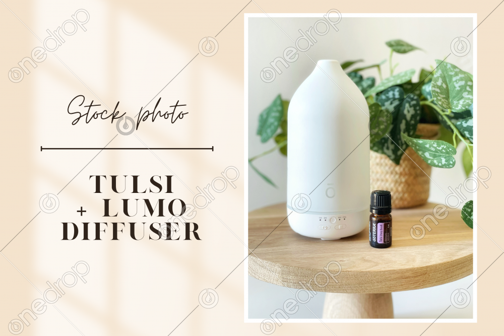 Tulsi with Lumo Diffuser by Amy Schultz