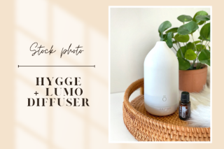Tulsi with Lumo Diffuser by Amy Schultz