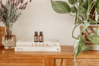 Abōde Dish Soap Stock Photo by Amy Schultz