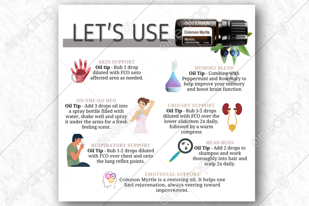 Let's Use Common Myrtle by Amy Wheeler