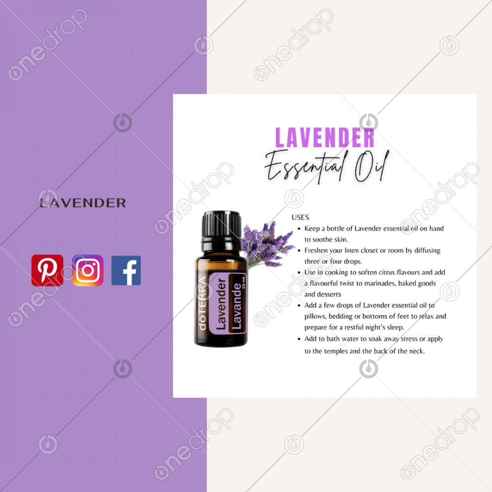 dōTERRA Lavender Essential oil post by JUDITHSI FIGUEROA