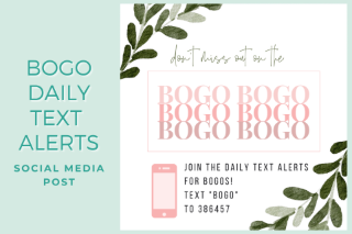 Healthy Body Systems with Oils by One Drop