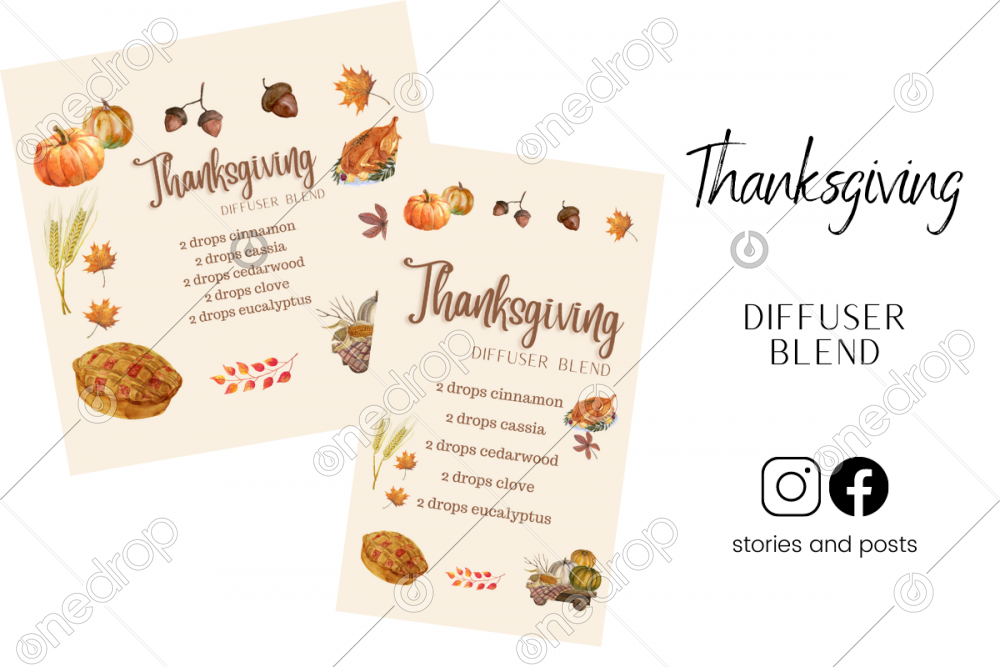 Thanksgiving Diffuser Blend by Summer Livingston