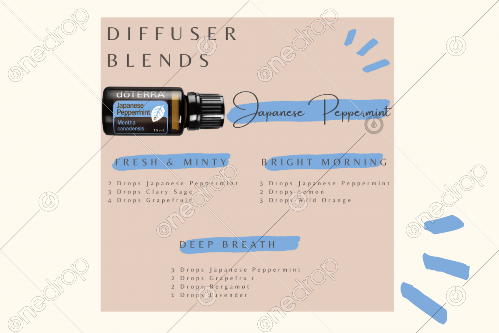Japanese dōTERRA Peppermint Diffuser Blends - Instagram Pos by Lou Ann
