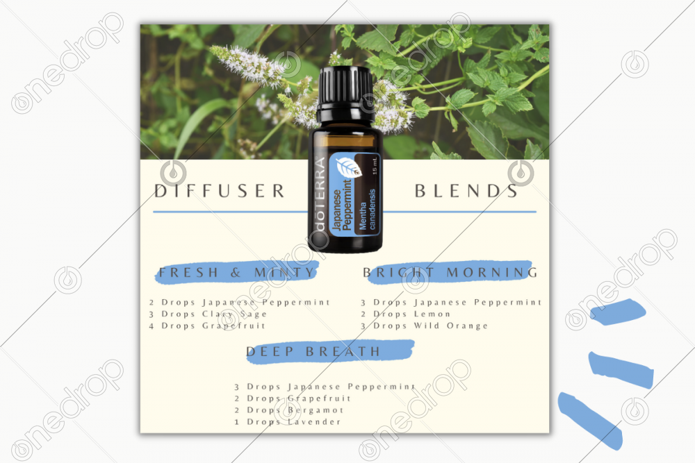 Japanese dōTERRA Peppermint - Diffuser Recipes - Instagram by Lou Ann
