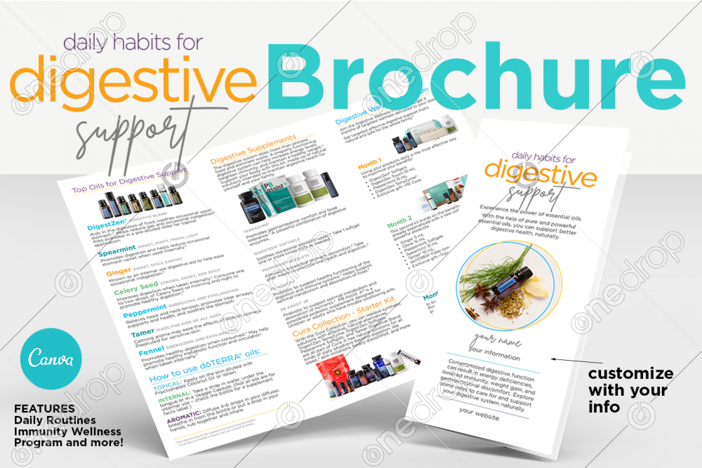 Digestive Support Brochure - Canva by Jan Kohler