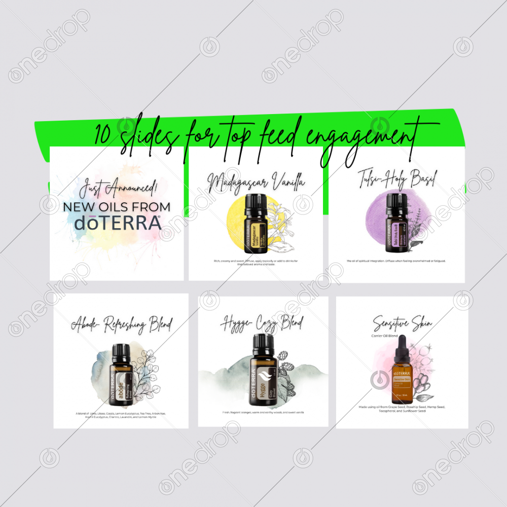 Instagram Carousel Post- New oils Includes Evolve Gala Blen by Tina ...