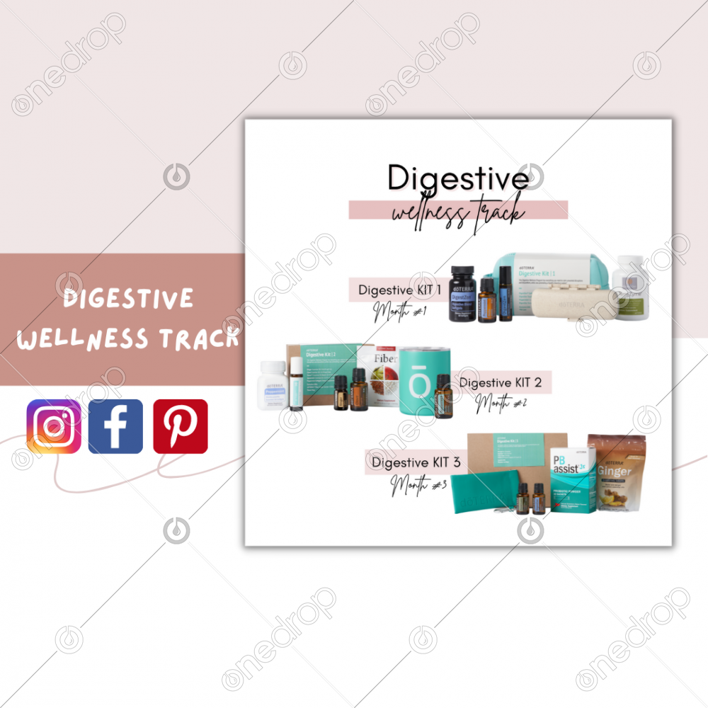 Digestive wellness program | KIT 1,2,3 by Valentina Ramirez