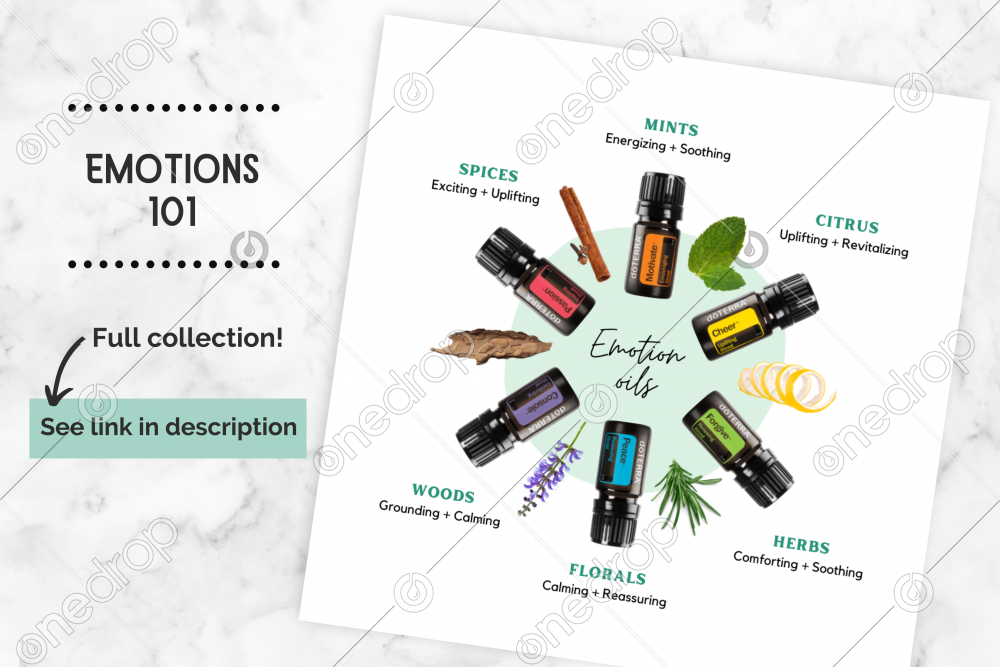 Emotional Aromatherapy Blends by Amy Schultz