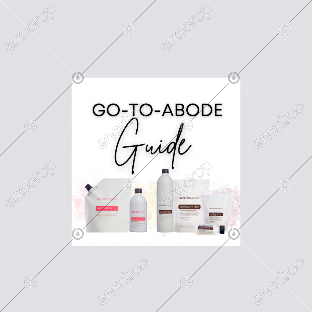 Go-to-Abode Guide image by Tina Franklin