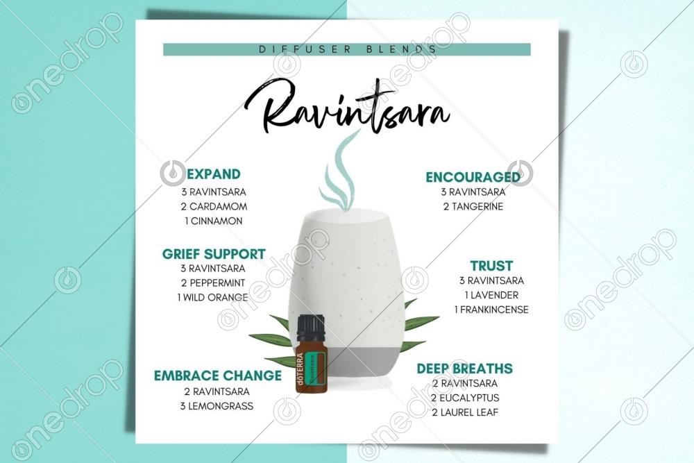 Ravintsara Diffuser Blends (Illustrated) by Pixel Perfect