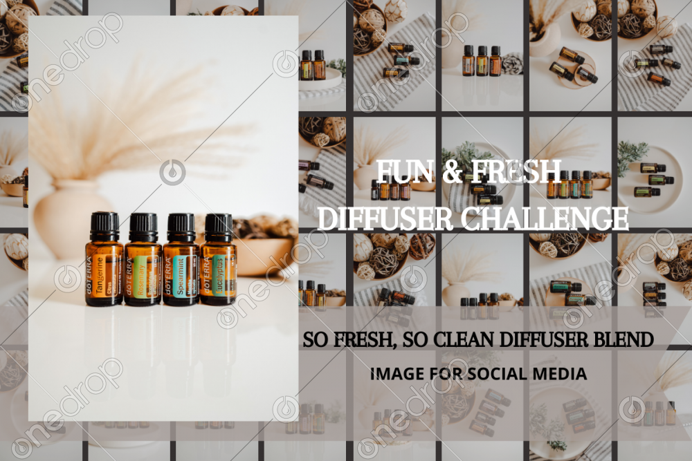 So Fresh, So Clean Diffuser Blend | Fun & Fresh Diffuser Cha by Melanie ...