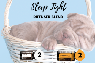 Italian Summer Diffuser Blend by Christy St Clair