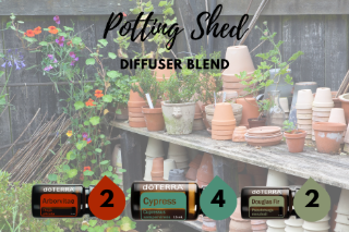 Italian Summer Diffuser Blend by Christy St Clair
