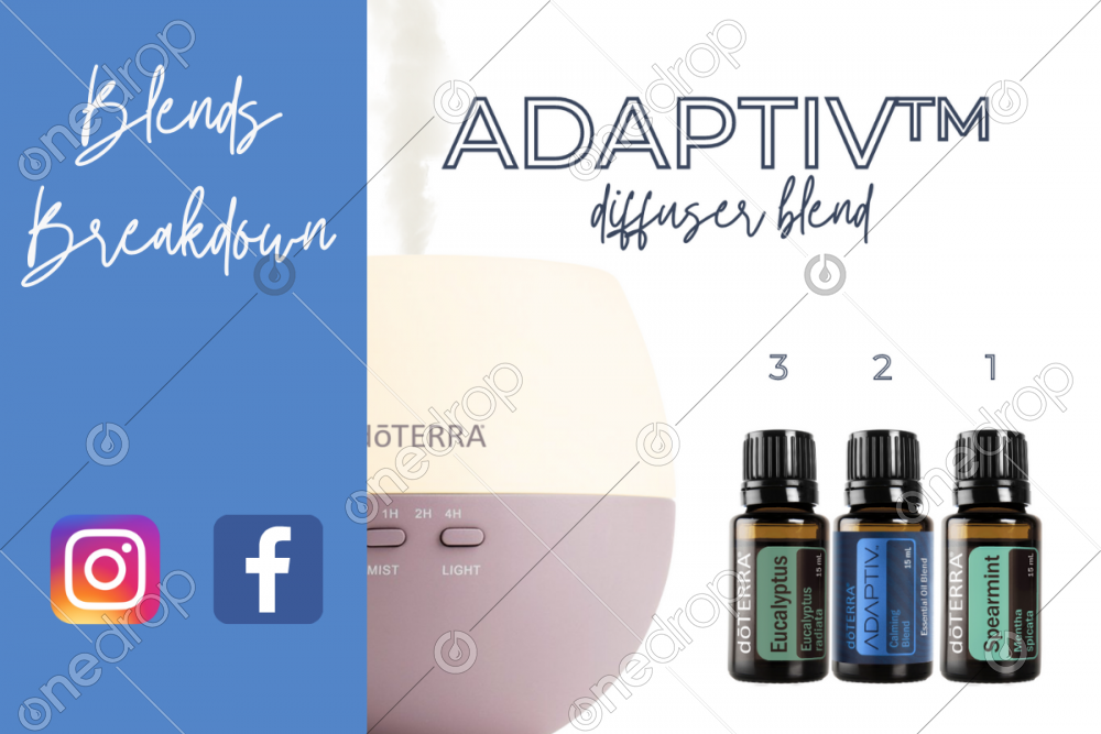 Adaptiv Diffuser Blends by Debbie Hills