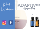 Adaptiv Diffuser Blends by Debbie Hills