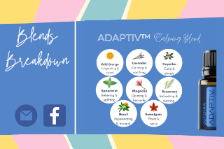 Citrus Bliss - Diffuser Blend by Debora Tesauro