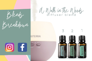 Citrus Bliss - Diffuser Blend by Debora Tesauro