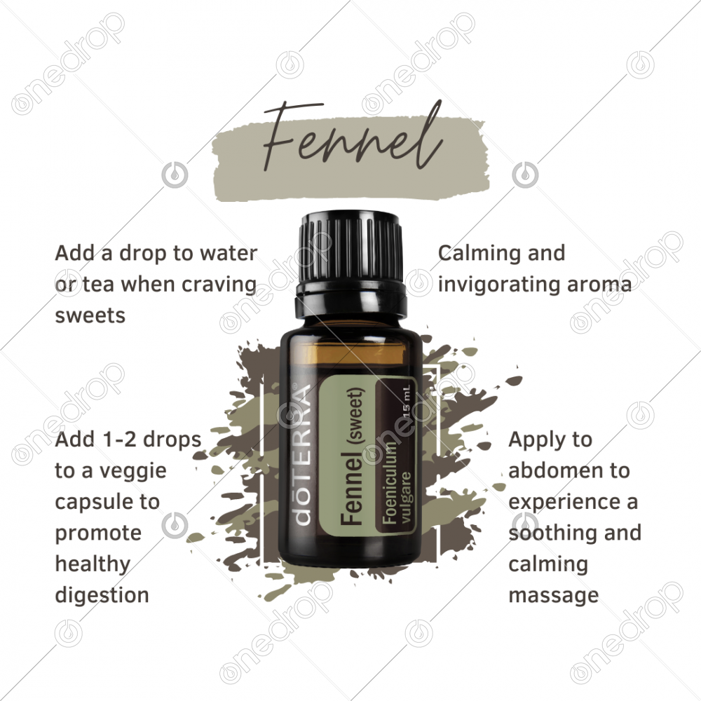 Fennel graphic with benefits by Fernanda Cavaletti