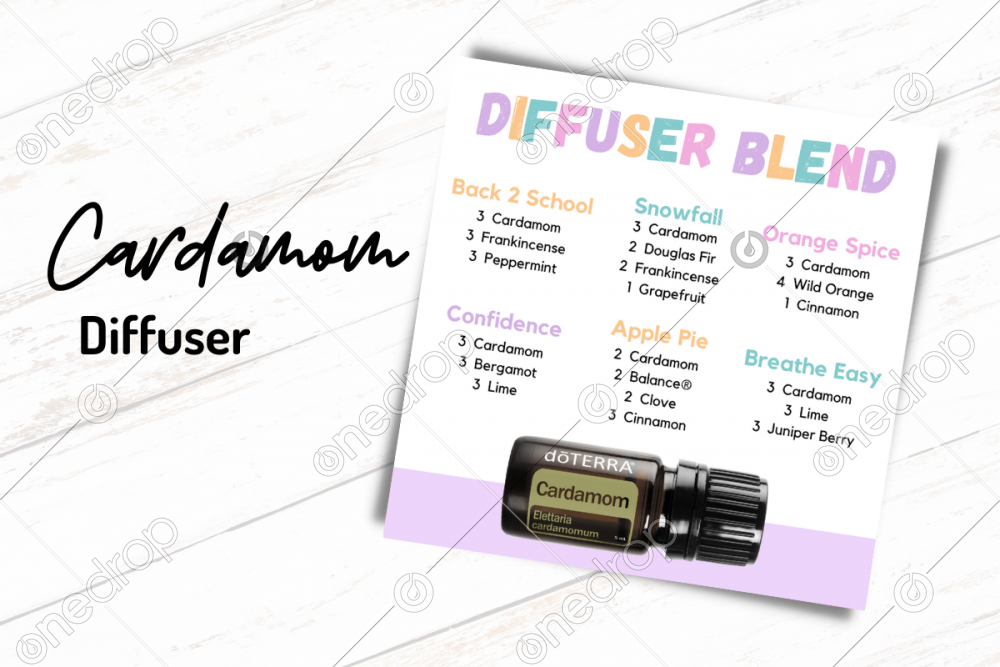 Cardamom Diffuser Blends by Elouise Van Rooyen