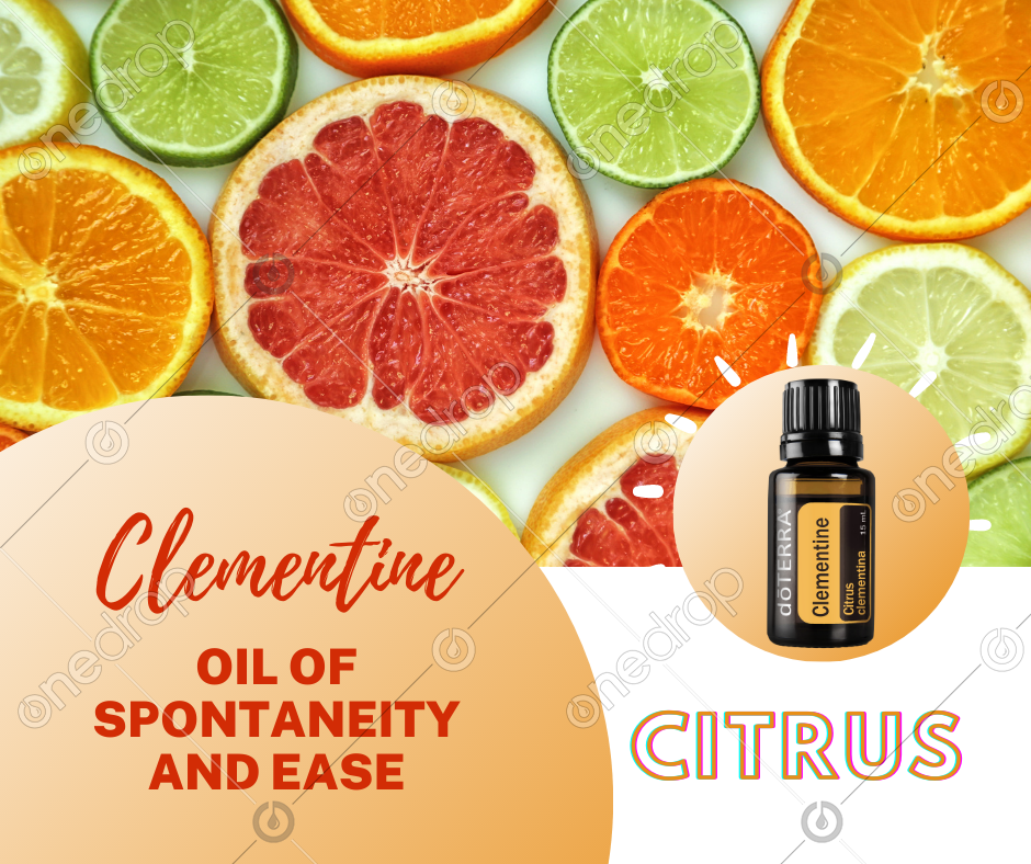 CITRUS – Clementine Oil Classification & Emotion by Christy St Clair