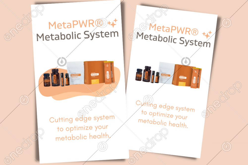 MetaPWR® System Story by Jess Tunis