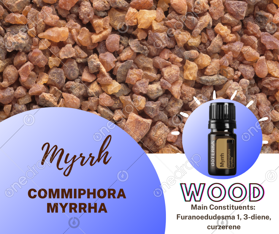 WOOD – Myrrh Plant Name & Main Constituents by Christy St Clair