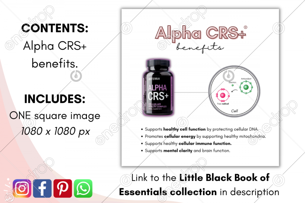 Alpha CRS + - Little black book of essentials by Valentina Ramirez