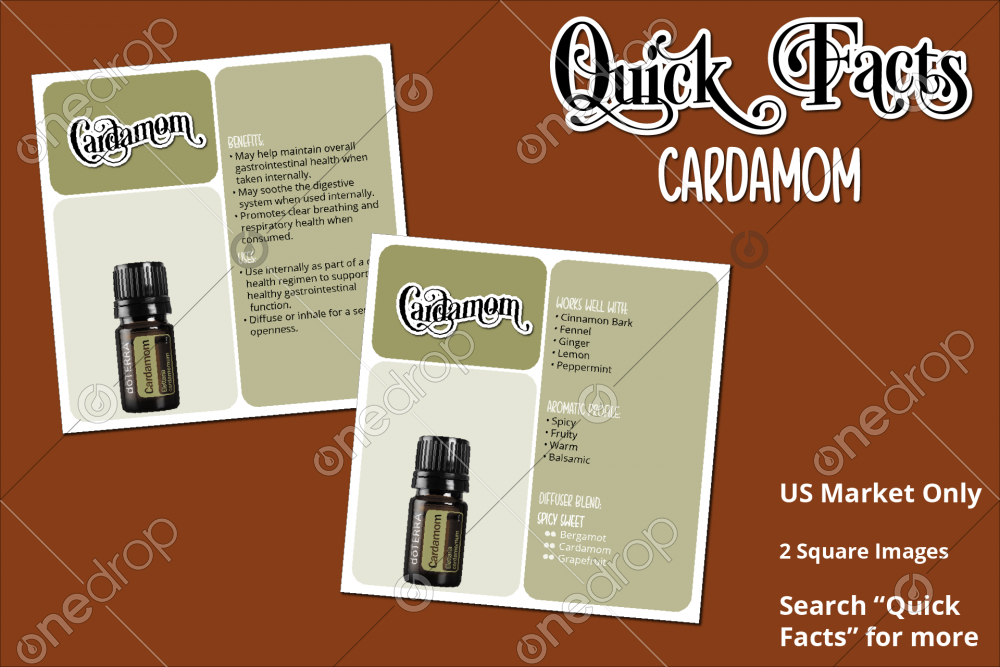 Quick Facts: Cardamom by Tayci Mecham