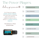 The Power Player | DDR Prime by Jess Tunis