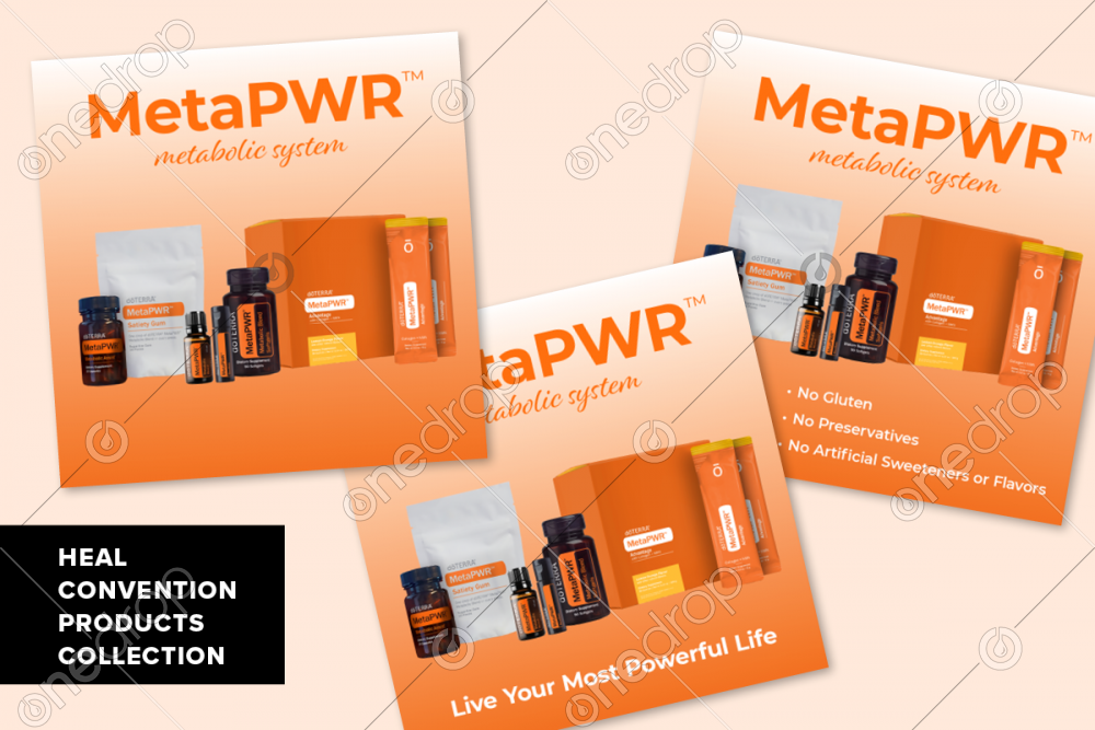 MetaPWR System Spotlight Bundle by Erin Haehle