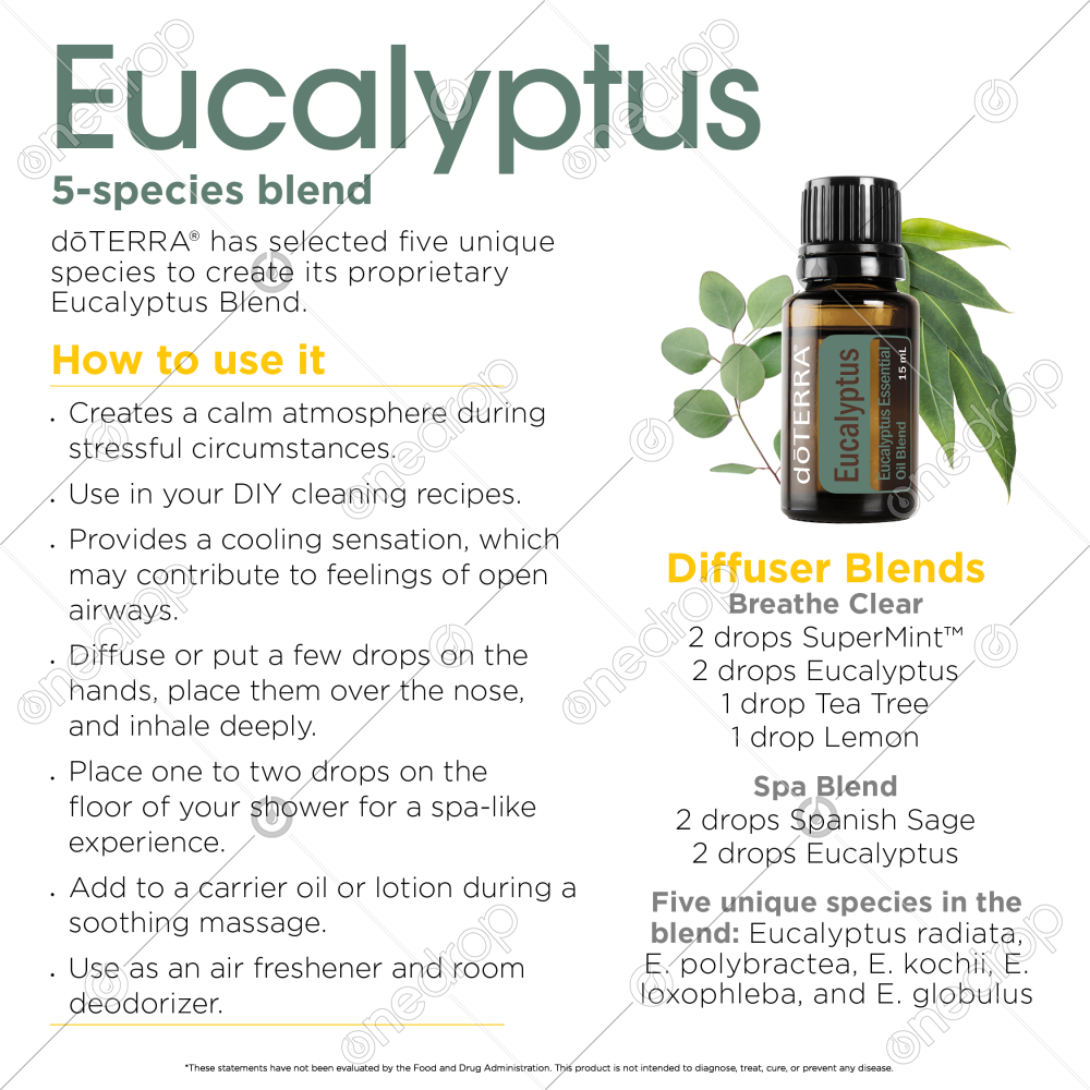 Eucalyptus Blend by Jan Kohler