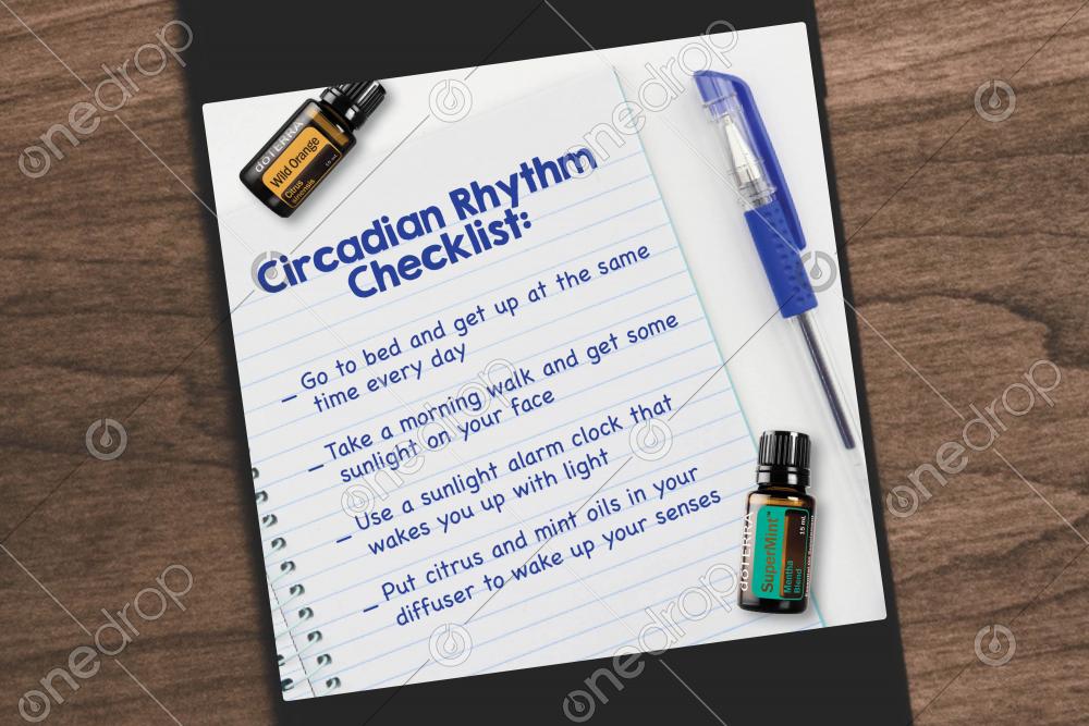 Circadian Rhythm Checklist by Maggie Spangler
