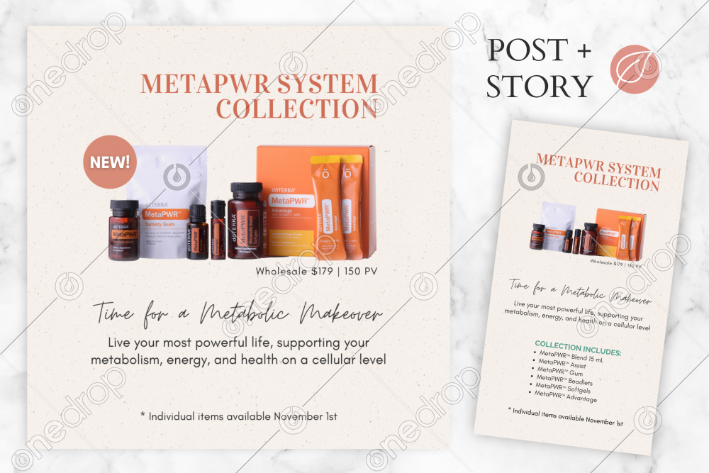 MetaPWR System Collection by Amy Schultz
