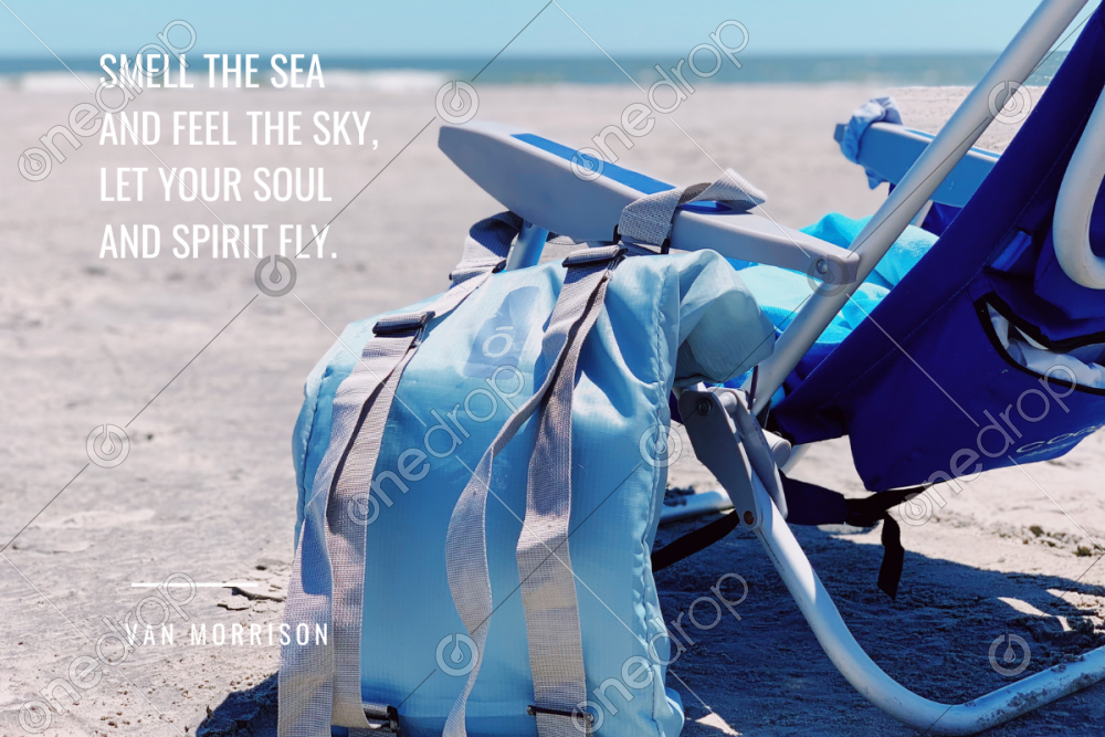 dōTERRA Backpack on beach with inspirational quote by Marla Payne