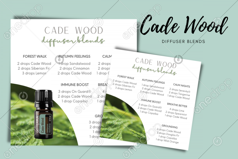 6 Cade Wood Diffuser Blends by Jess Tunis