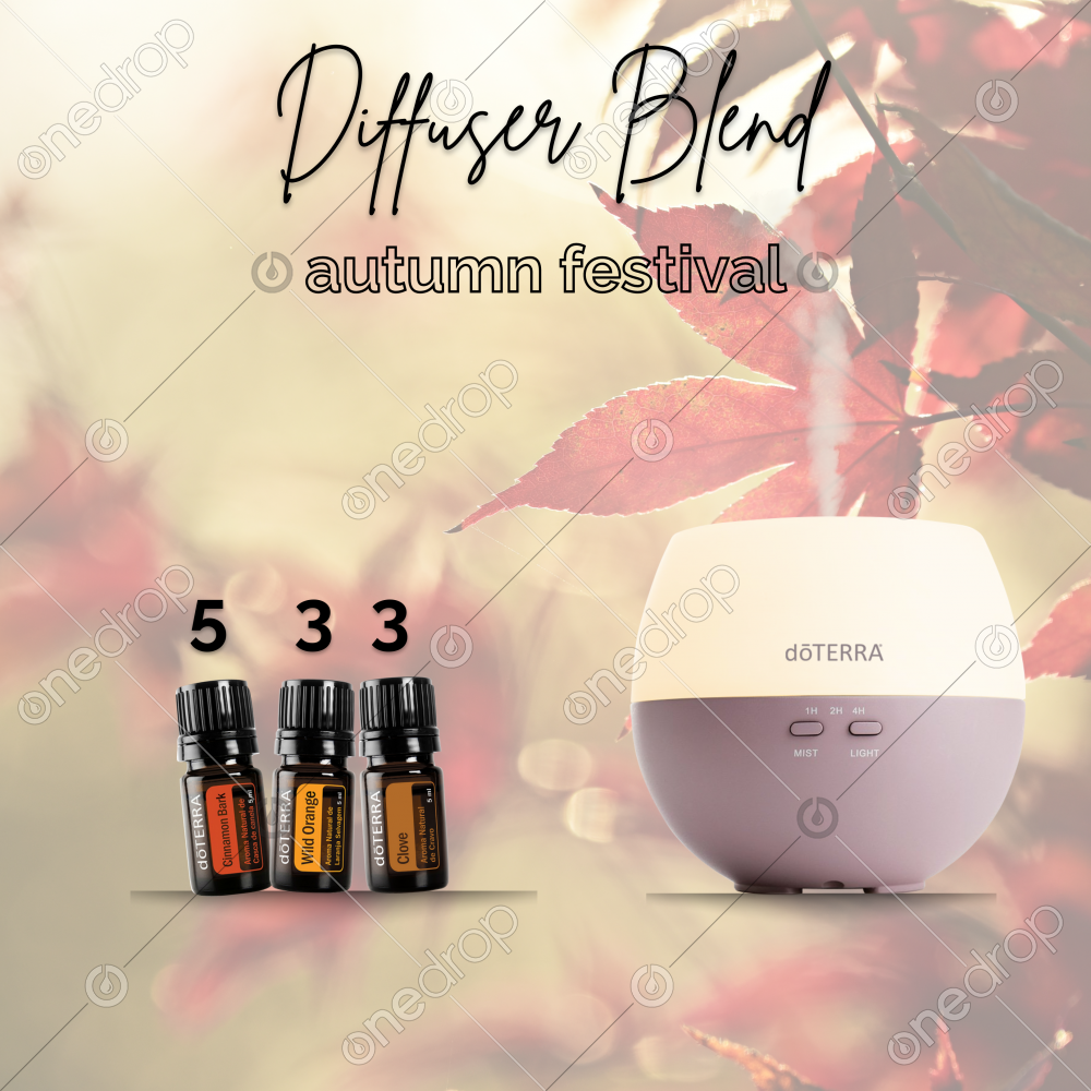 Diffuser Blend - autumn festival by Roberta Primay