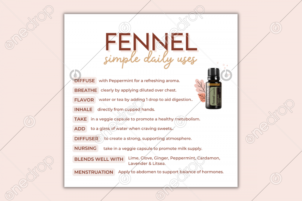 Fennel | Simple Daily Uses by Sharna Crouch