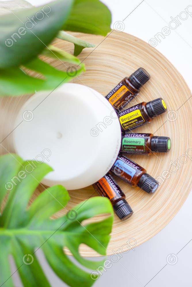 Brain Fog Diffuser Blend by Veronika :-)