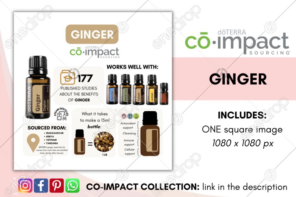Ginger - Co-Impact collection by Valentina Ramirez
