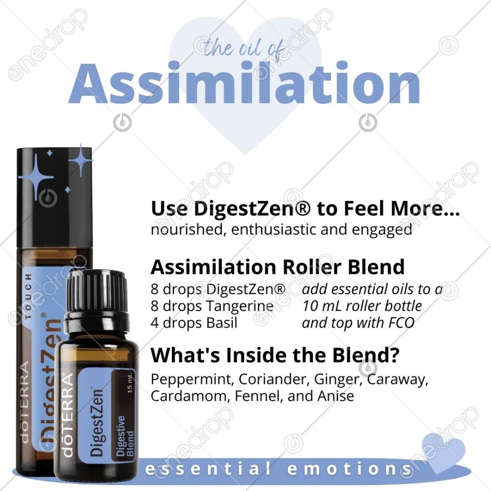 DigestZen - Oil of Assimilation I Essential Emotions by Pixel Perfect