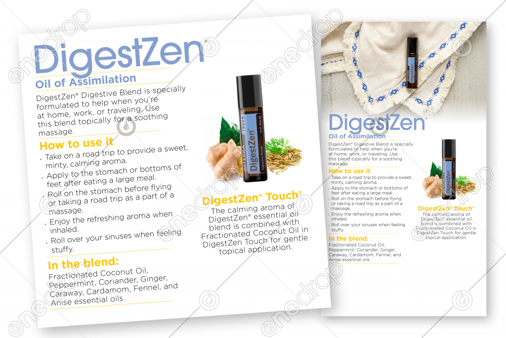 DigestZen Touch Post and Story by Jan Kohler