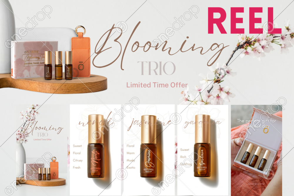 Blooming Trio Reel by Jan Kohler