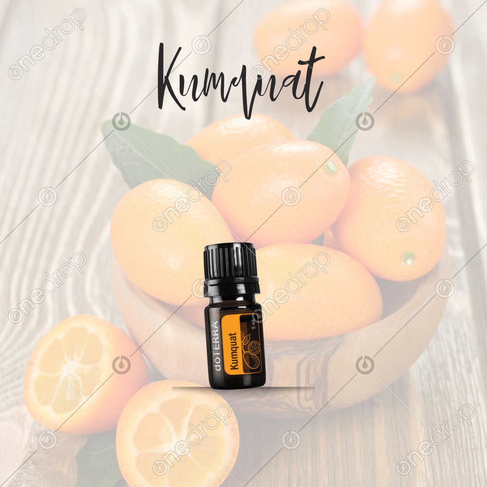 Kumquat by Roberta Primay