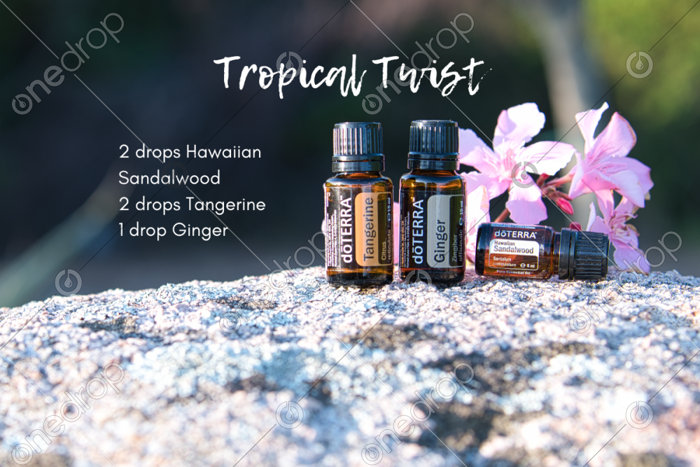 Tropical Twist Diffuser Blend by Debora Tesauro